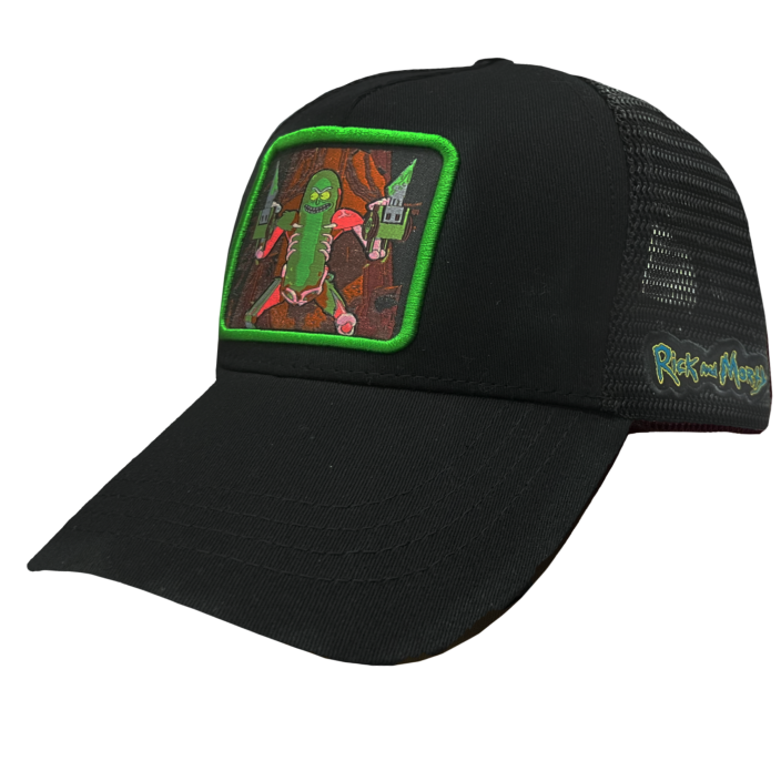 נעליים למכירה | JIFFA | street wear | skating | RICK N MORTY PICKLE ...